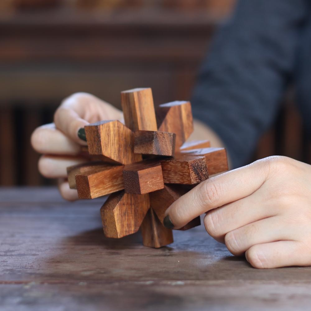 Dahlia Star Logic Puzzle an Interlocking Star Burr with Free Shipping