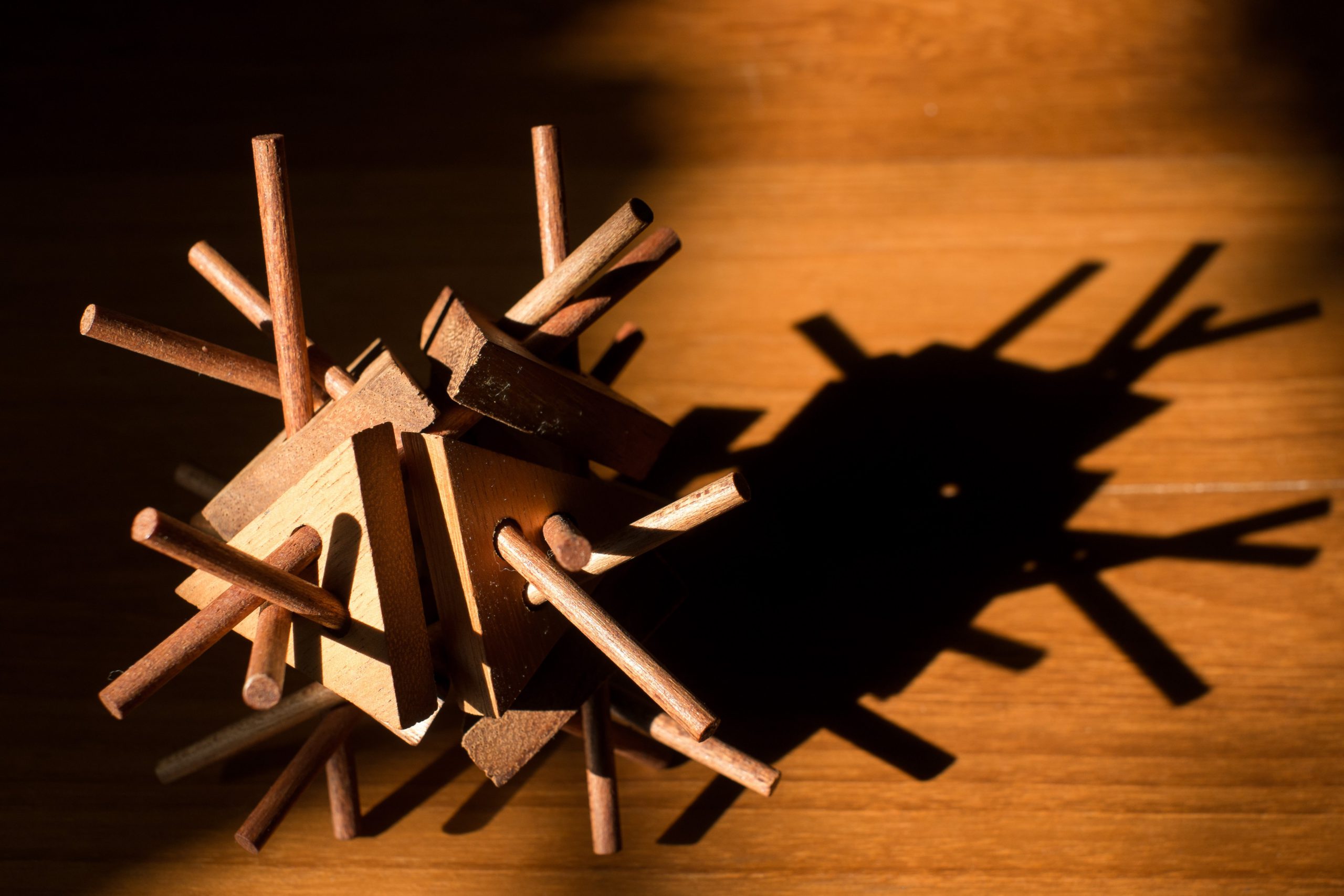 Stick Structure - Stick or Porcupine Puzzle with Free Shipping