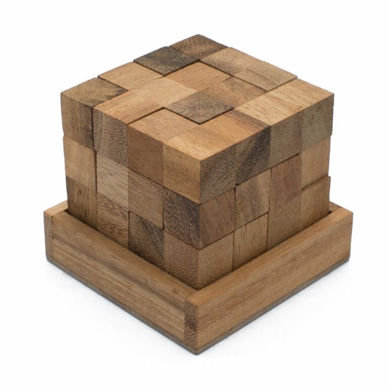 Logic Puzzles: Deduction & Reasoning Puzzles for Critical Thinking