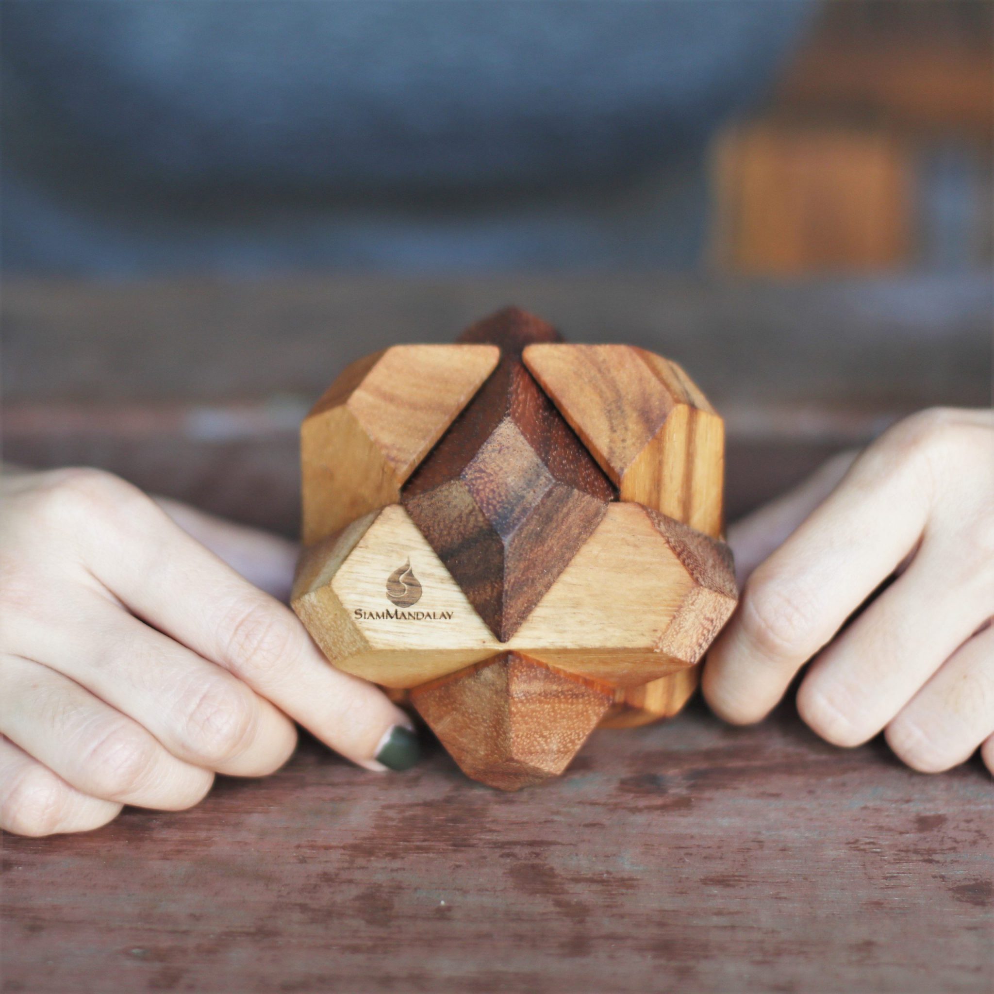 Blooming Star - Interlocking Assembly Puzzle with Free Shipping