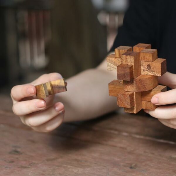The Cog - Puzzles for Adults with Free Shipping | SiamMandalay